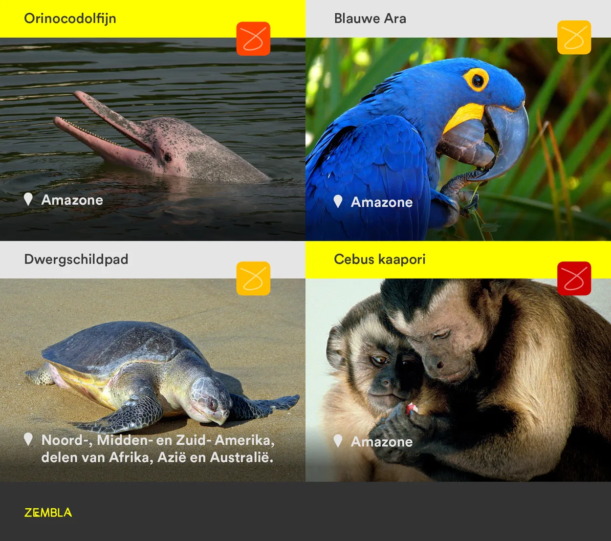 Honderden diersoorten in Amazone met uitsterven bedreigd - Zembla - BNNVARA